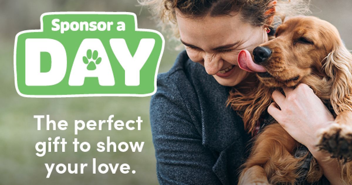 Sponsor A Day for RSPCA SA